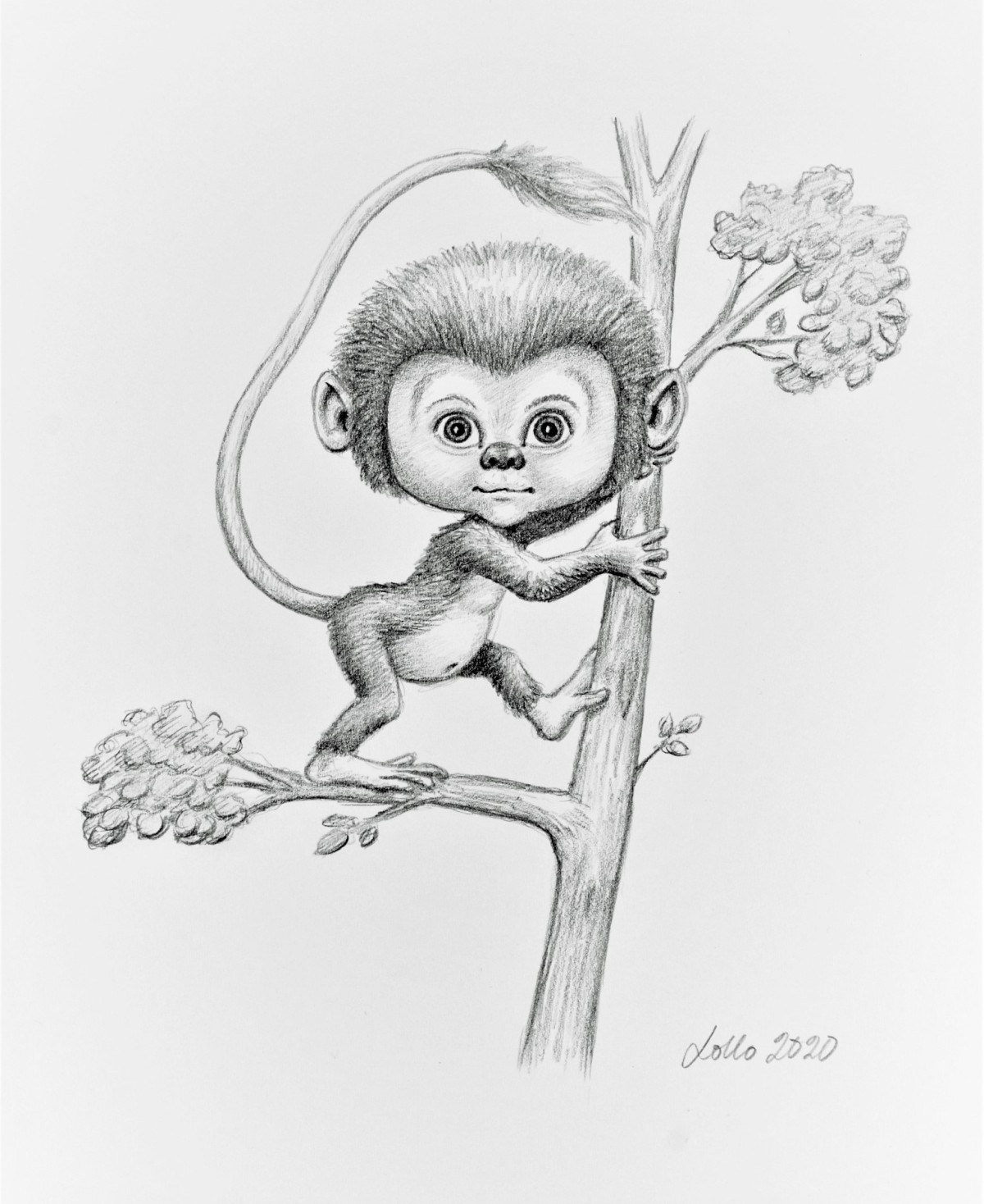 Blyerts – Lollos Ritrum